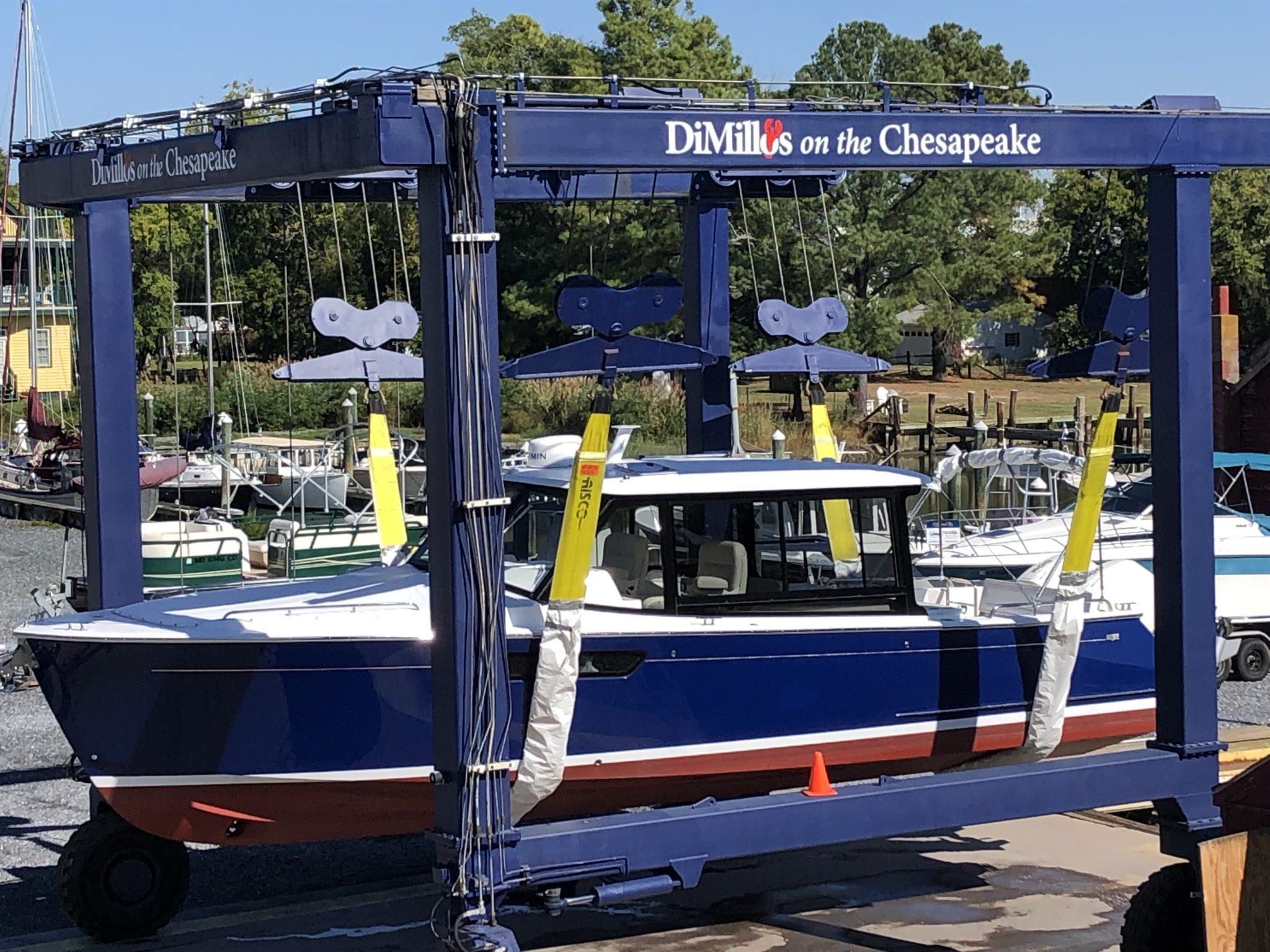 BLUE, BLUE & BLUE! - DiMillo's Yacht Sales